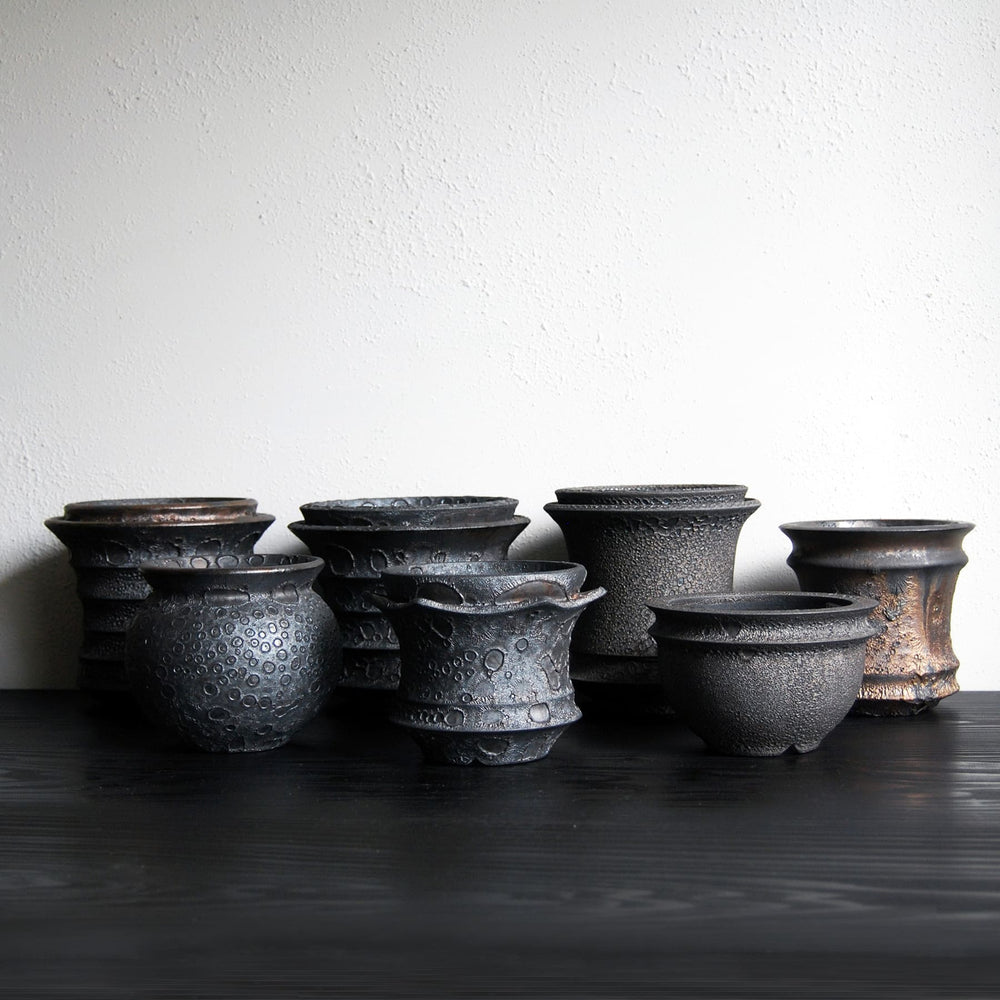 News – linkplants -リンクプランツ-