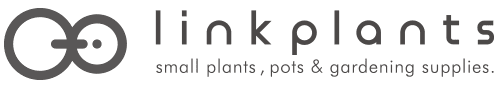 About – linkplants -リンクプランツ-